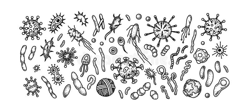 Set of Viruses, Bacteria and Other Microorganisms. Scientific Vector ...