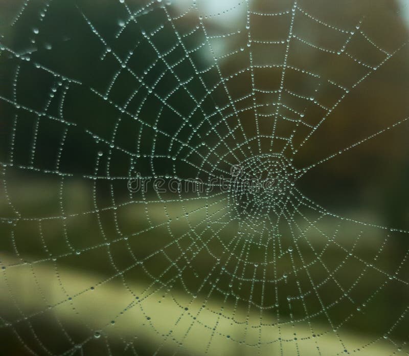 Web Spider Colors Pattern Background Colors Stock Photo - Image of ...