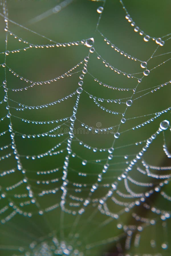 Web stock image. Image of spiderweb, condensation, drop - 44918947