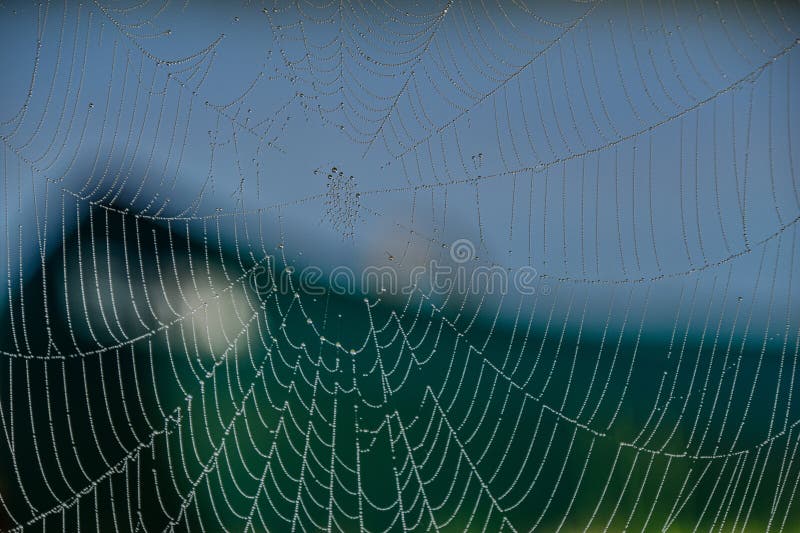 Spiders Web on a Kitchen Cabinet in a Abandoned House Stock Photo ...