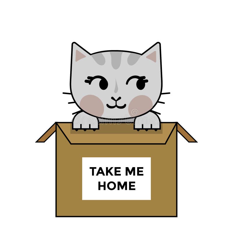 Take Me Home, Cat in the Box Stock Vector - Illustration of friends ...