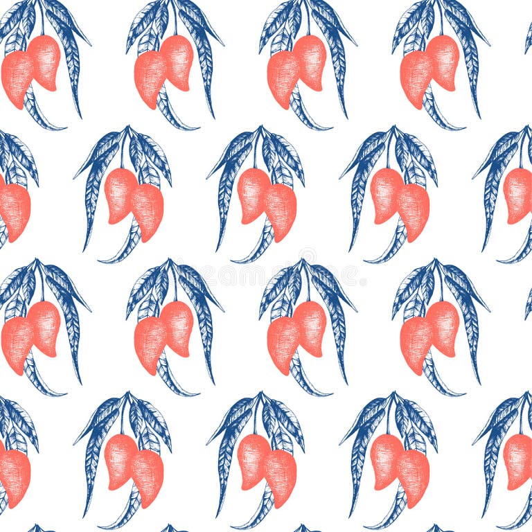 Seamless Hand Drawn Pattern Mango Vector Stock Illustrations 658
