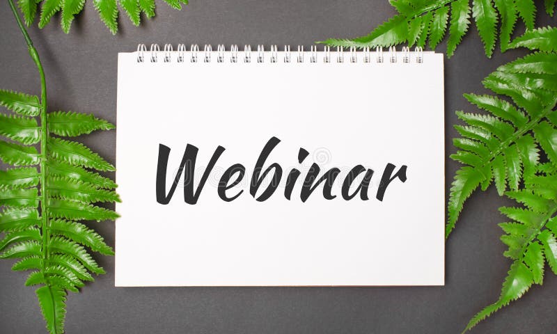 WEBINAR Text with Real Leaves Tropical Jungle Background.flat Lay ...