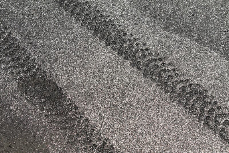 Website Abstract Background Series - Tracks in the Sand - Seaside ...