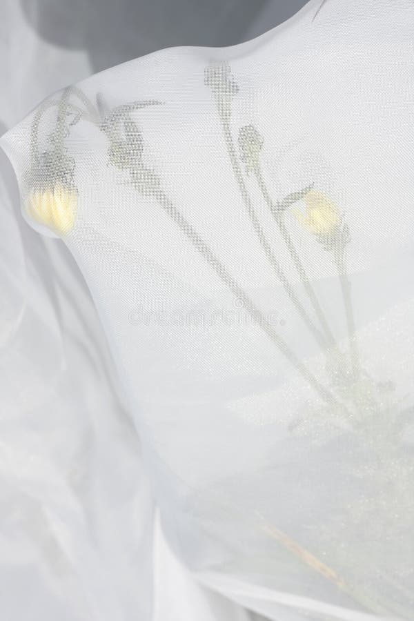Wedding Abstract Picture. Image: 5999373