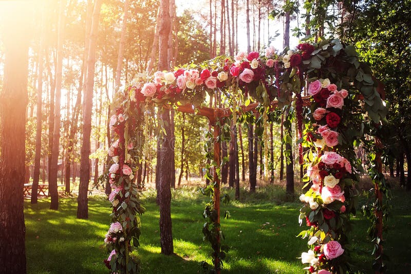 Wedding Arch and Decoration in Green Forest Stock Image - Image of ...