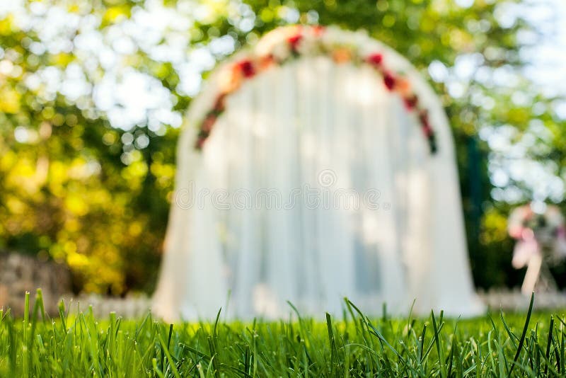 Wedding Arch on the grass stock photo. Image of plant - 25245762