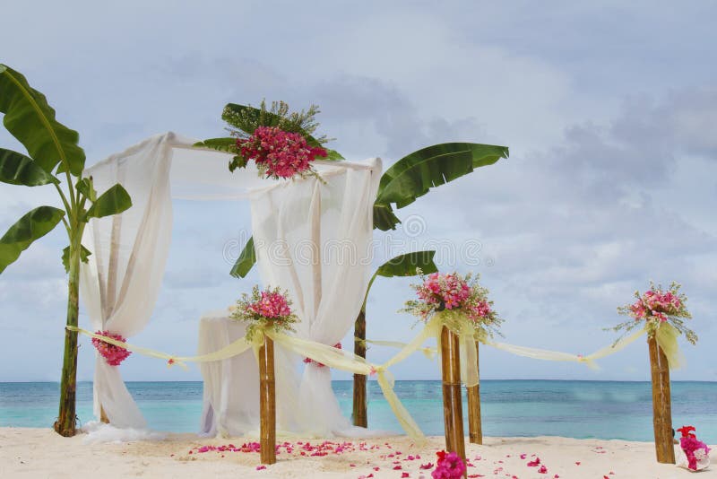 Wedding arch and set up stock photo. Image of decoration - 31112518