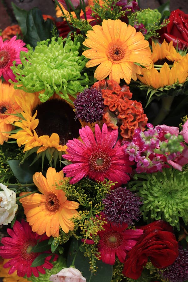 Wedding Arrangement in Bright Colors Stock Photo - Image of flora ...