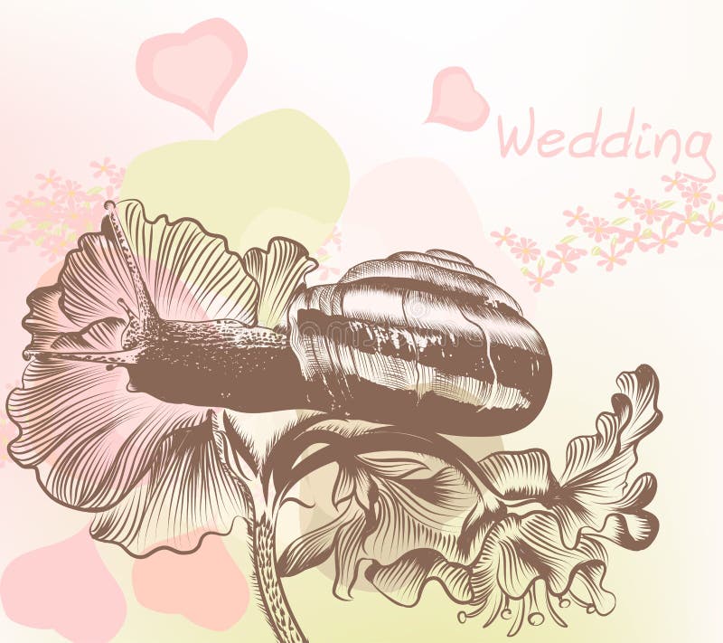 Wedding Back with Snail and Flowers Stock Vector - Illustration of ...