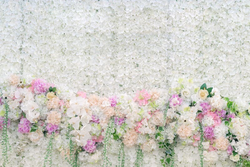 Wedding backdrop stock photo. Image of anniversary, freesia - 28313520