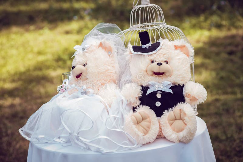 Wedding bears stock photo. Image of beige, bunch, jacket - 4441674