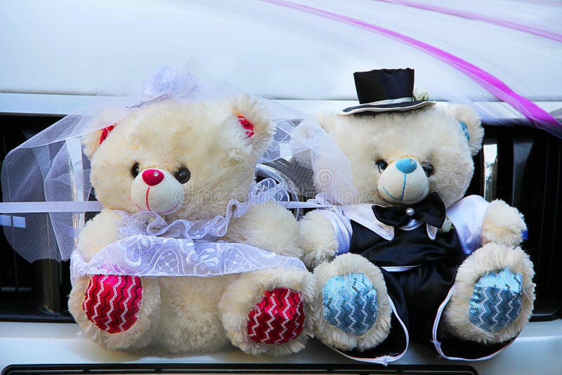 Wedding bears stock photo. Image of beige, bunch, jacket - 4441674