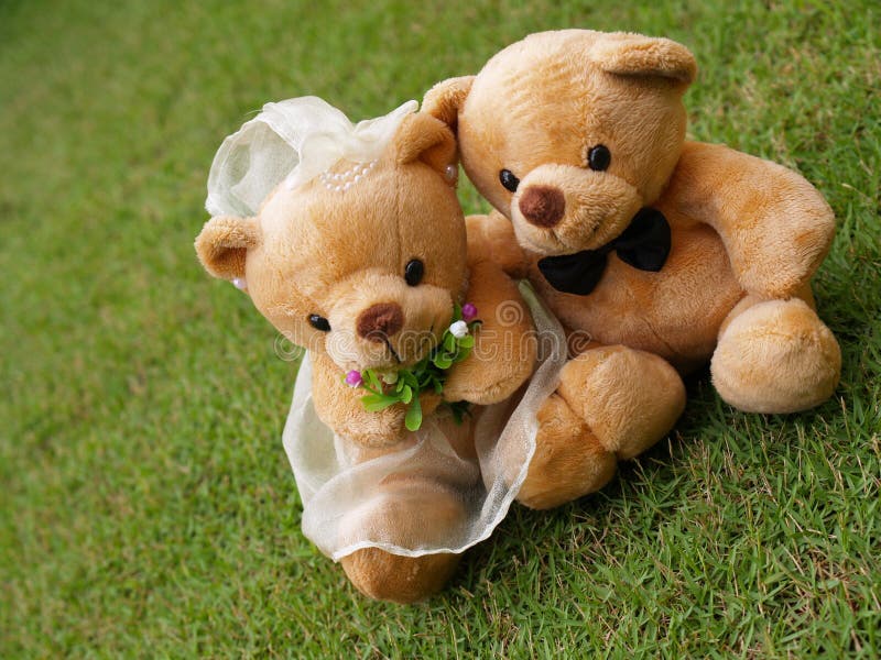 808 Wedding Teddy Bears Stock Photos - Free & Royalty-Free Stock Photos ...