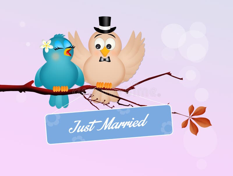 Wedding of birds stock illustration. Illustration of groom - 90849695