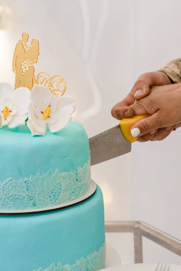 Wedding Blue Cake with White Flowers and Hands Cutting it Stock Photo ...