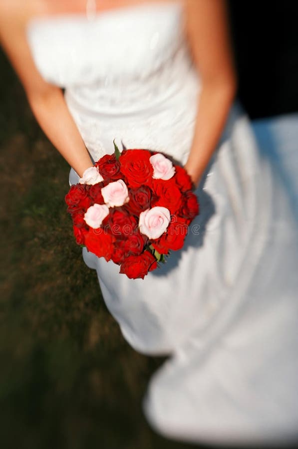 Bride s bouquet stock photo. Image of holy, formal, beauty - 5815068