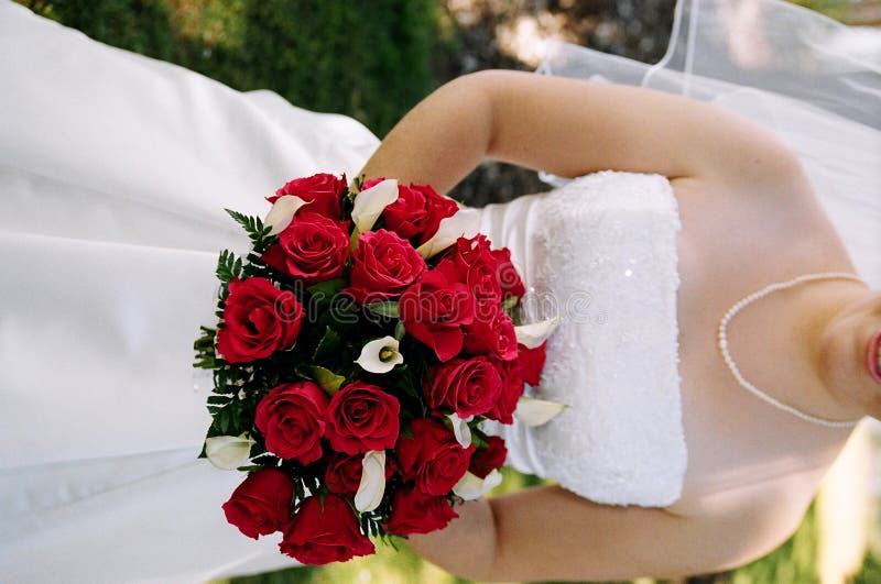 Bride s bouquet stock photo. Image of holy, formal, beauty - 5815068