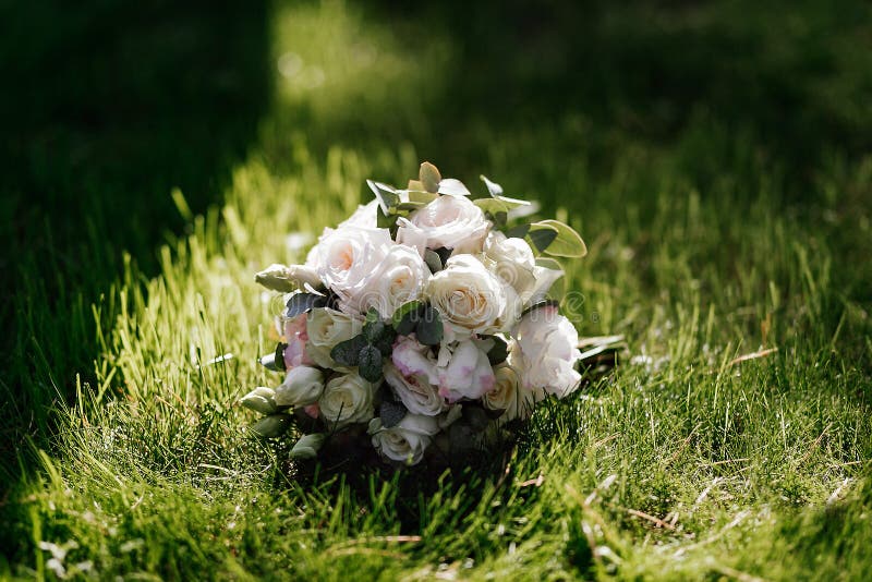 Wedding Bouquet of Cream and White Roses Lies on the Grass in the ...