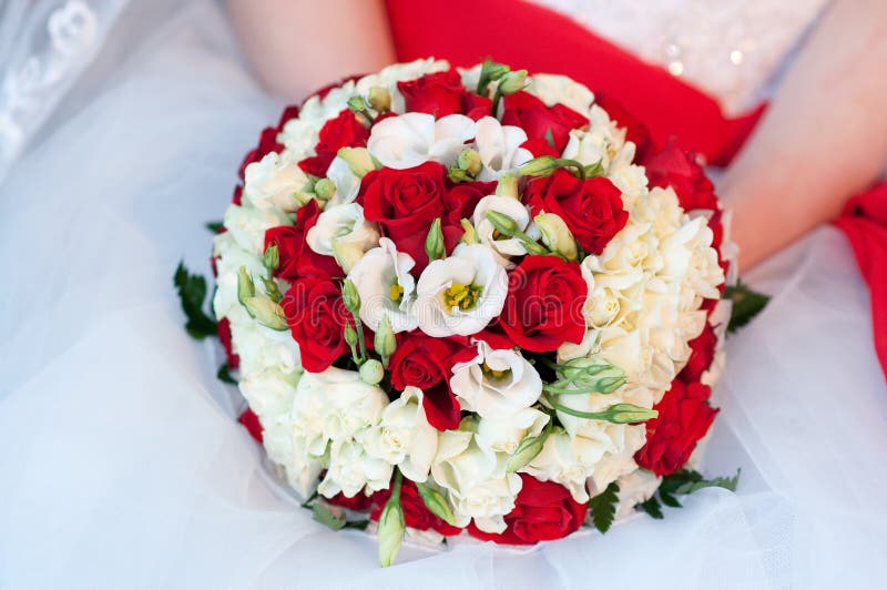 Wedding Bouquet in Hands of the Bride. White and Red Roses Stock Photo ...