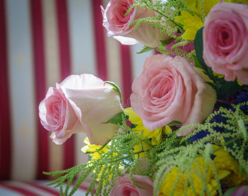 Aummer Wedding Stock Photos - Free & Royalty-Free Stock Photos from ...