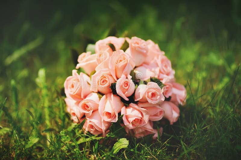 Wedding Bouquet of Pink Roses on Green Grass Stock Photo - Image of ...