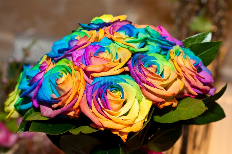 Wedding Bouquet with Rainbow Roses Stock Photo - Image of bunch ...