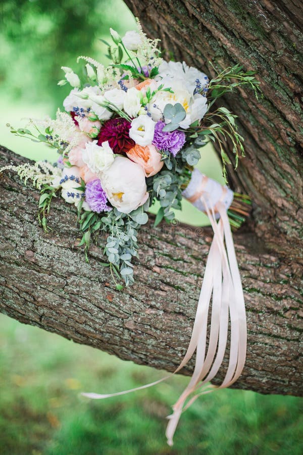 Wedding Bouquet on the Tree Branch Stock Photo - Image of decoration ...