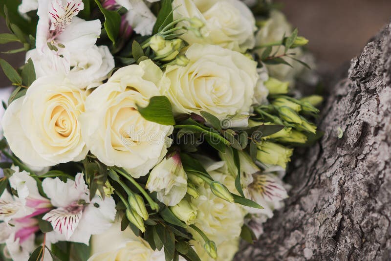 Pink Artificial Rose Bouquet Tree Trunk Background Stock Photos - Free ...