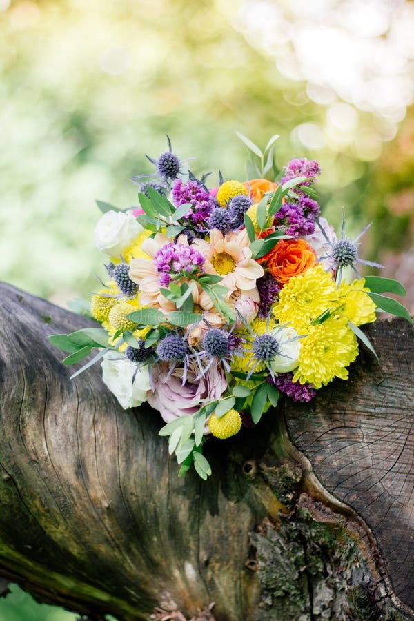 Wedding bouquet on tree stock image. Image of romantic - 108982145
