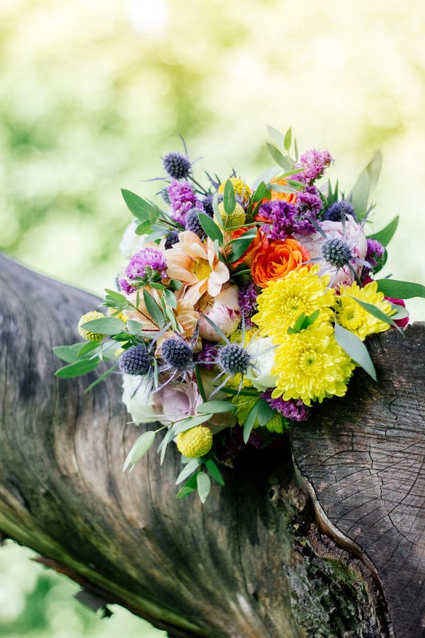Wedding bouquet on tree stock image. Image of engagement - 98936771