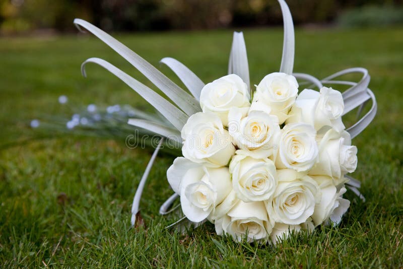 Wedding Bouquet of White Roses Stock Photo - Image of roses, bouquet ...