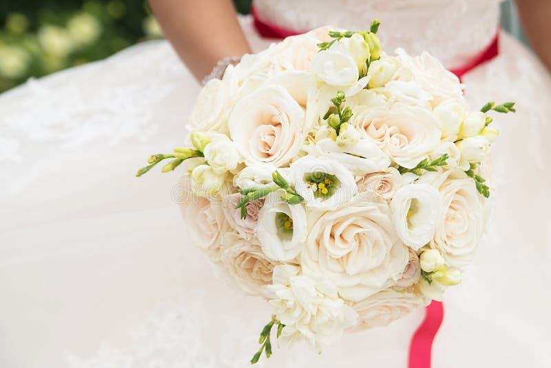 Wedding Bouquet with White Roses and Red Ribbon in Hand Stock Image ...
