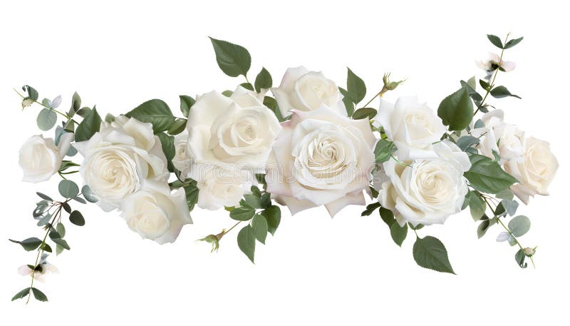 Wedding Bouquet of White Roses on a White Background with Soft Focus ...