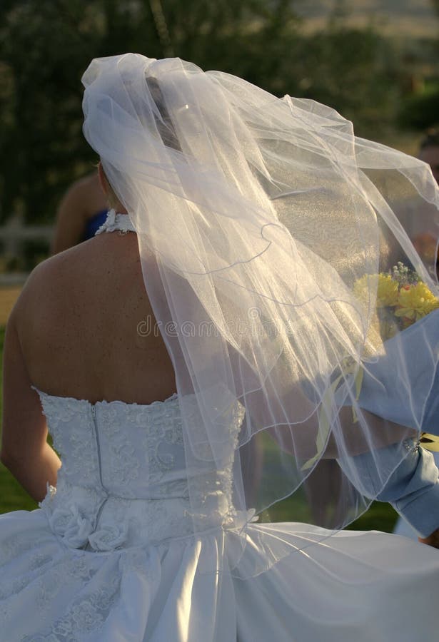 Wedding Bridal Veil 2 stock image. Image of veil, outdoors - 360711