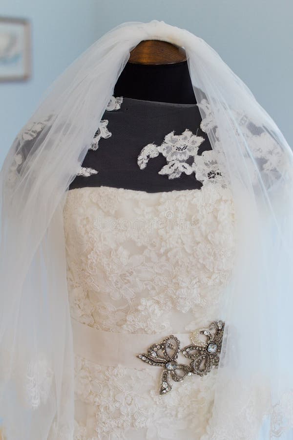 Wedding bridal veil stock image. Image of bride, white - 28923695