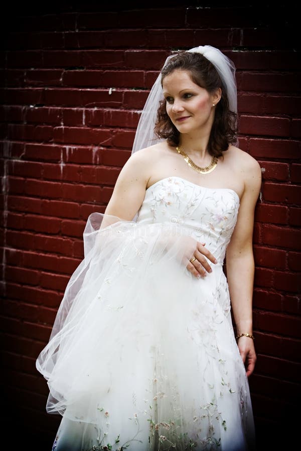 Wedding Bride stock image. Image of wedding, dress, female - 3143391
