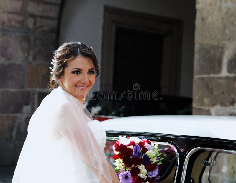 Wedding bride smiling stock photo. Image of happy, clear - 19379266