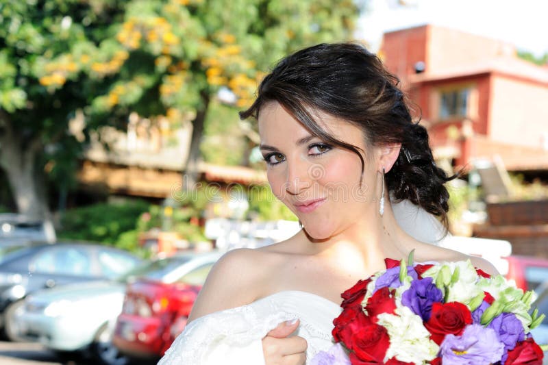 Wedding bride smiling stock image. Image of love, happily - 16197225