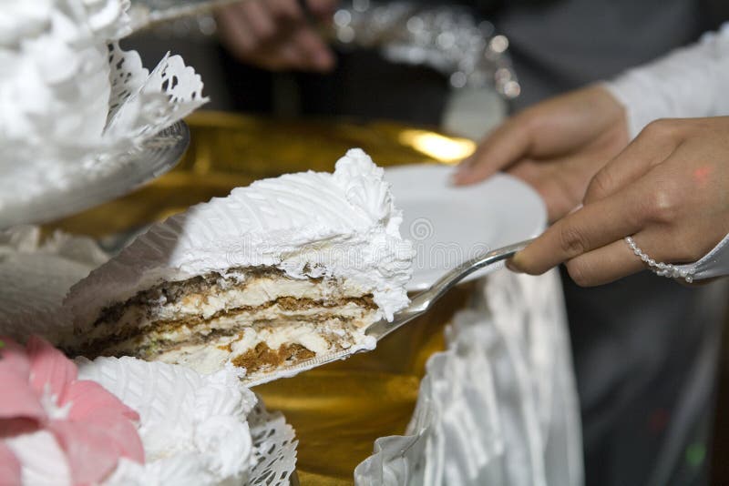 Party Cake shared stock image. Image of interesting - 146982715