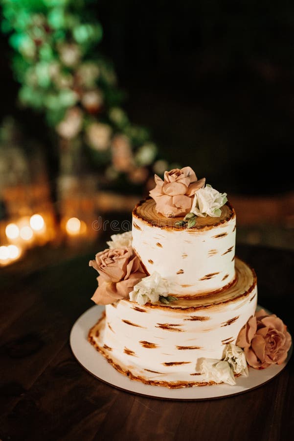 Brown Wedding Cake at the Wedding of the Newlyweds Stock Image - Image ...
