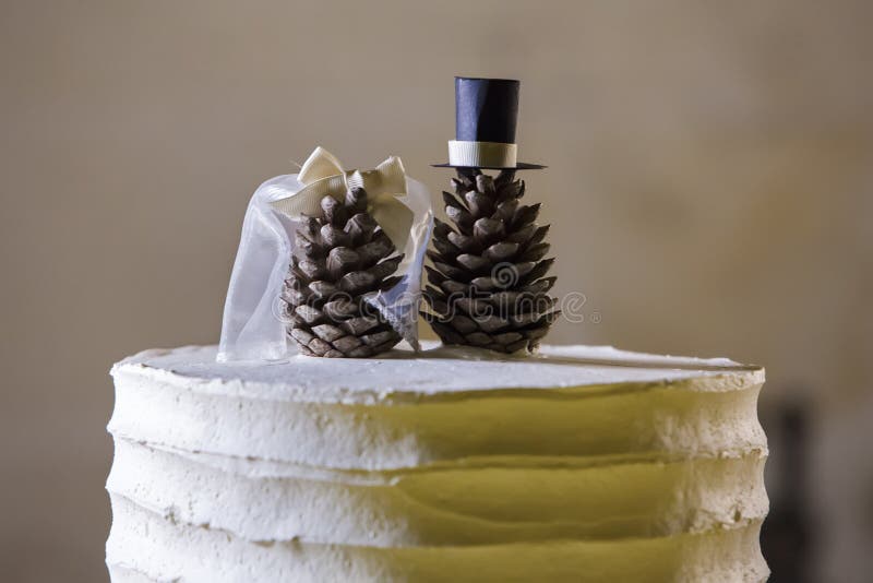 Wedding Cake with Pine Cone Decoration Stock Image - Image of groom ...