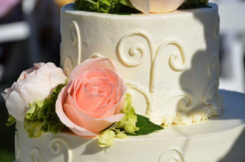 Cake Time stock photo. Image of food, time, cake, birthday - 231290282