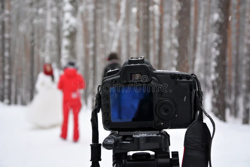 Wedding and camera stock image. Image of bride, forest - 52301017