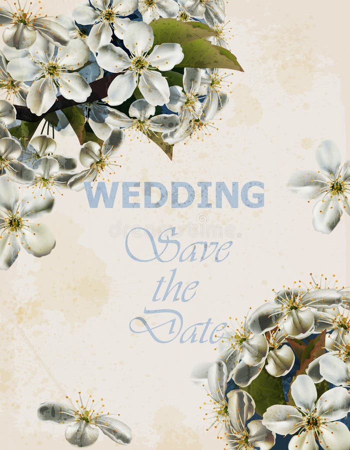 Wedding Card with Cherry Flowers Vector. Beautiful Spring Frames Stock ...