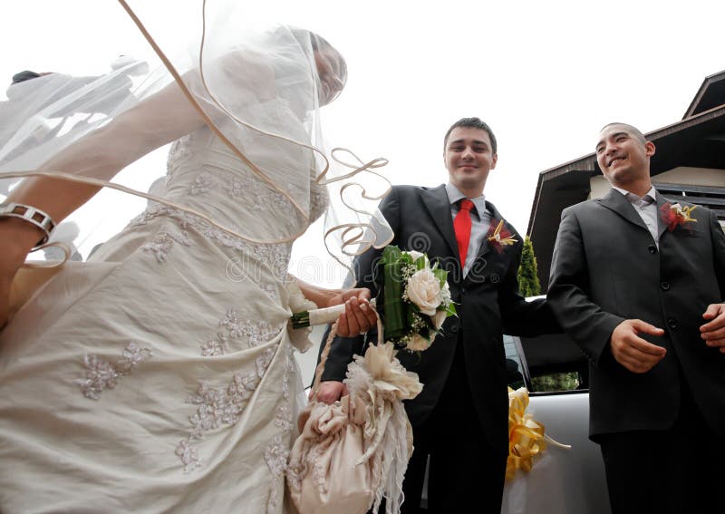 Wedding ceremony stock photo. Image of couple, dress - 14067488