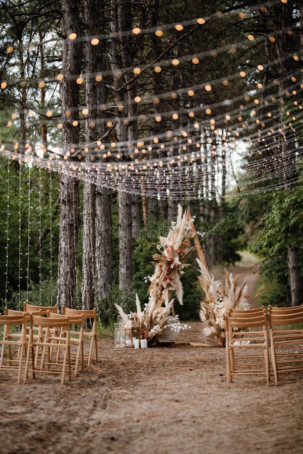 Wedding Ceremony Area with Dried Flowers in a Meadow in a Pine Forest ...