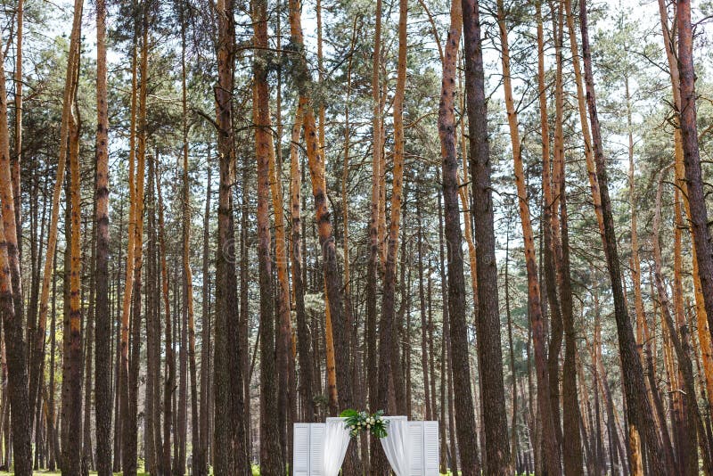 Wedding Ceremony in the Forest. Beautiful Gentle Arch Stock Photo ...