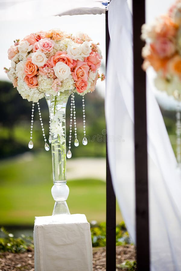 Wedding Ceremony Topiary Decor Stock Photo - Image of formal, ceremony ...