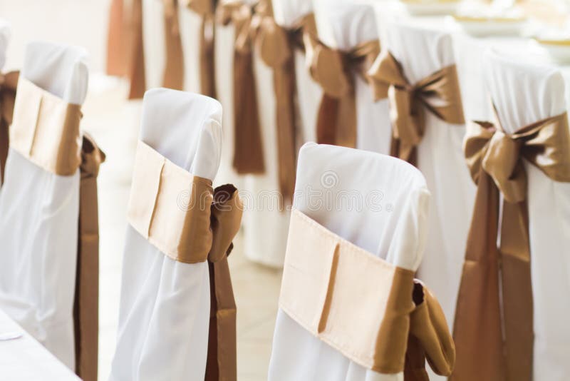 Ribbons On Chairs Wedding Reception Dining